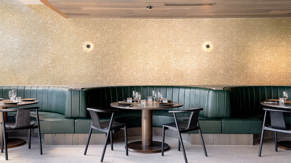 Summer of 2005 Paws Party - Canberra City Centre